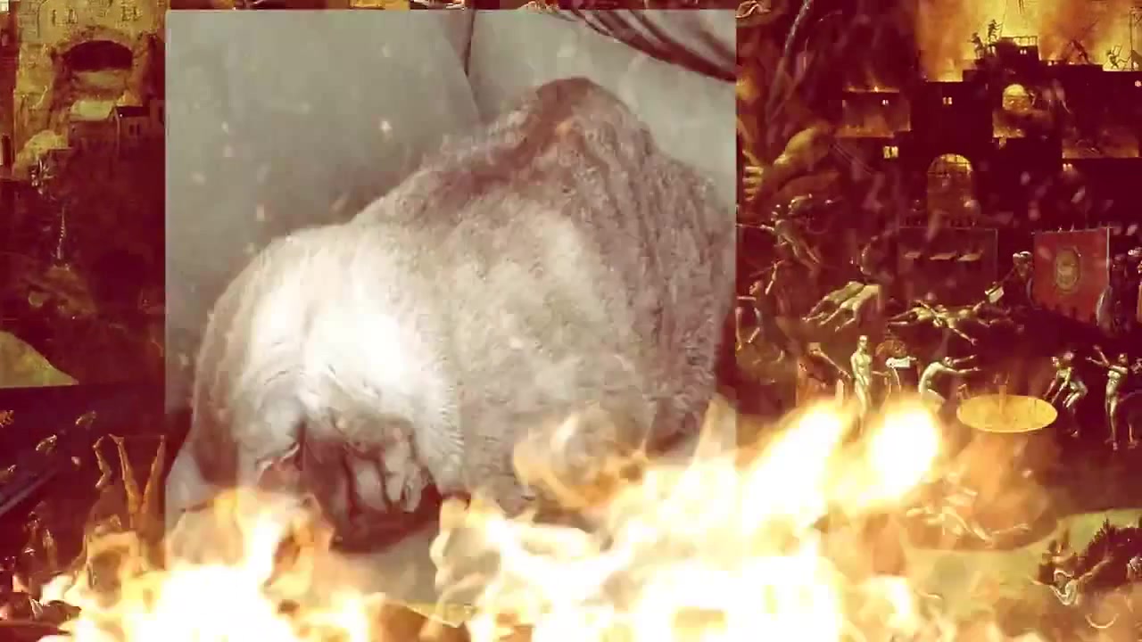 Metal Cat Headbanging Slayer Raining Blood MIDI - Coub