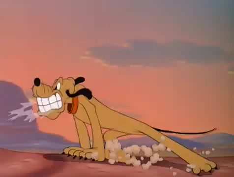 Pluto barked at the coyote and he's so angry - Coub