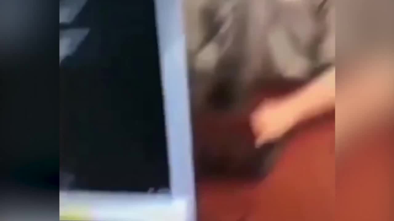 I like whis homework - Coub