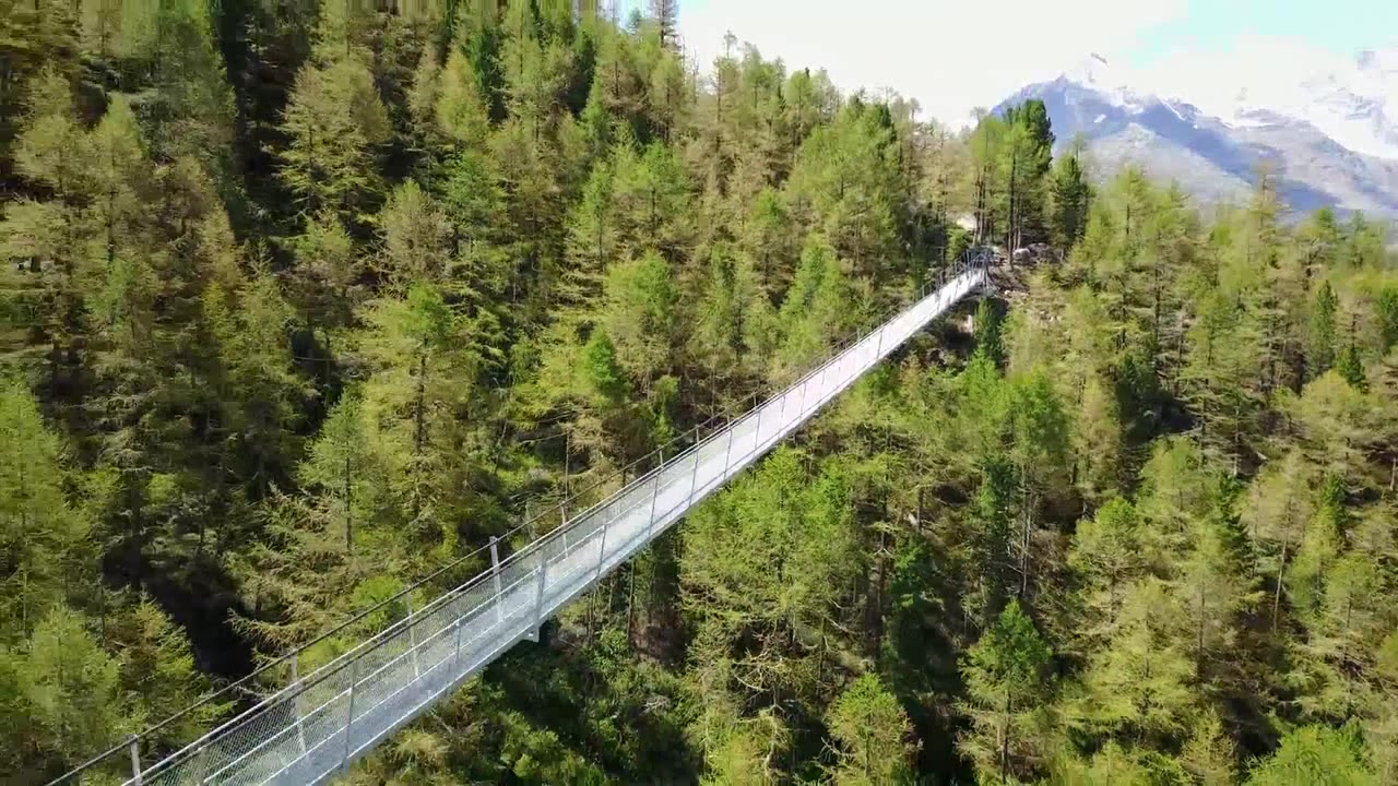 Bridge for people - Coub