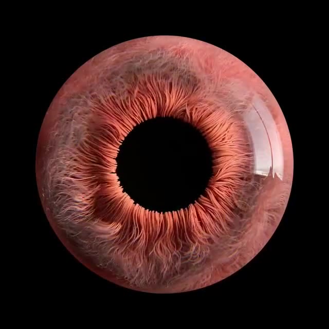 Eye - Coub