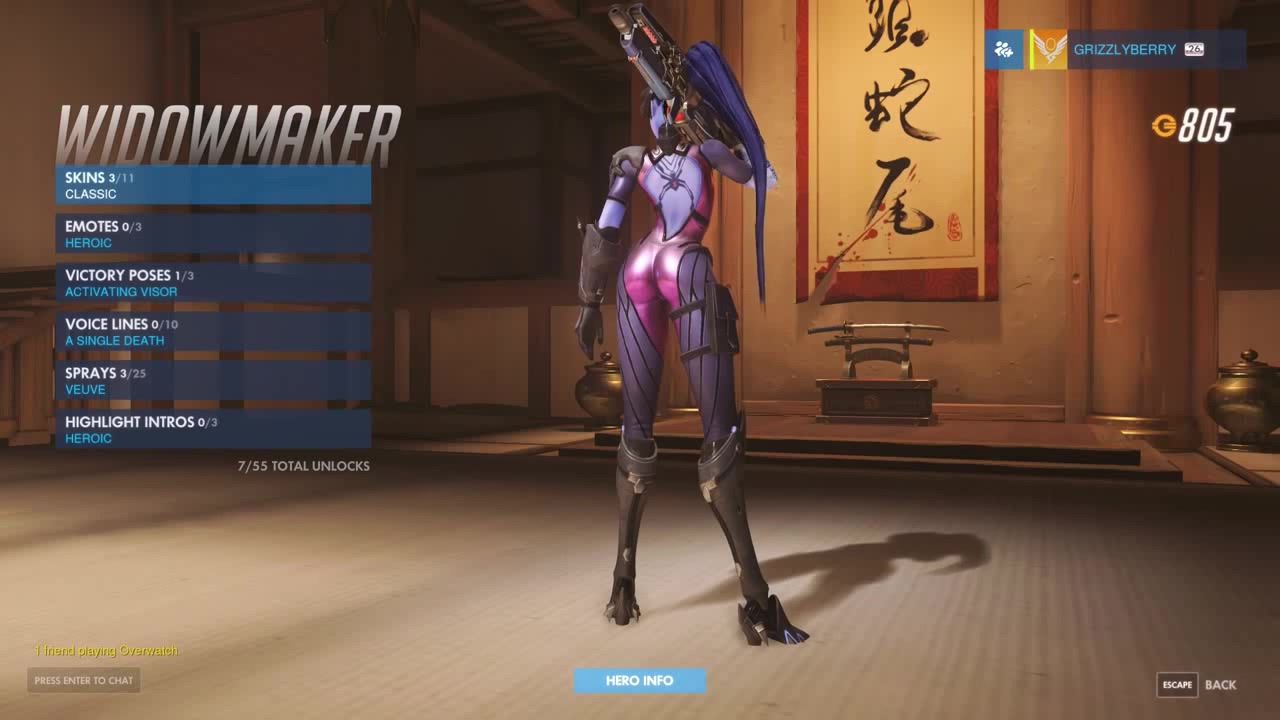 The Ultimate Guide to Widowmaker (Overwatch) - Coub