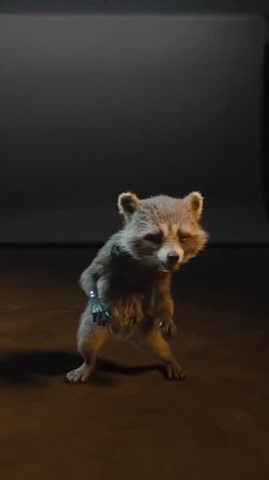 Rocket Raccoon - Coub