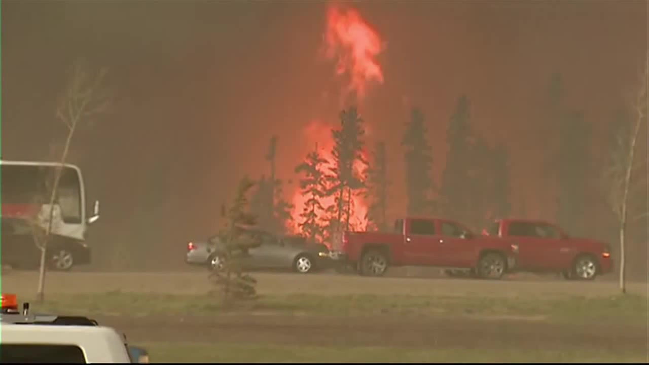 tmtsugar - toxic | #wildfire - Coub