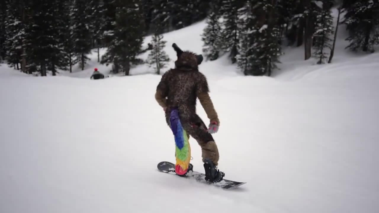 Furry Ski Weekend 2014 - Coub