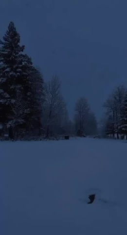 Зимняя ночь | Winter night - Coub