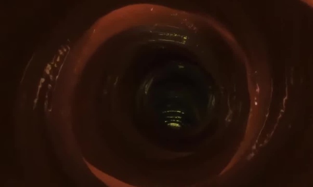 Where? OUT OF HERE! - Coub