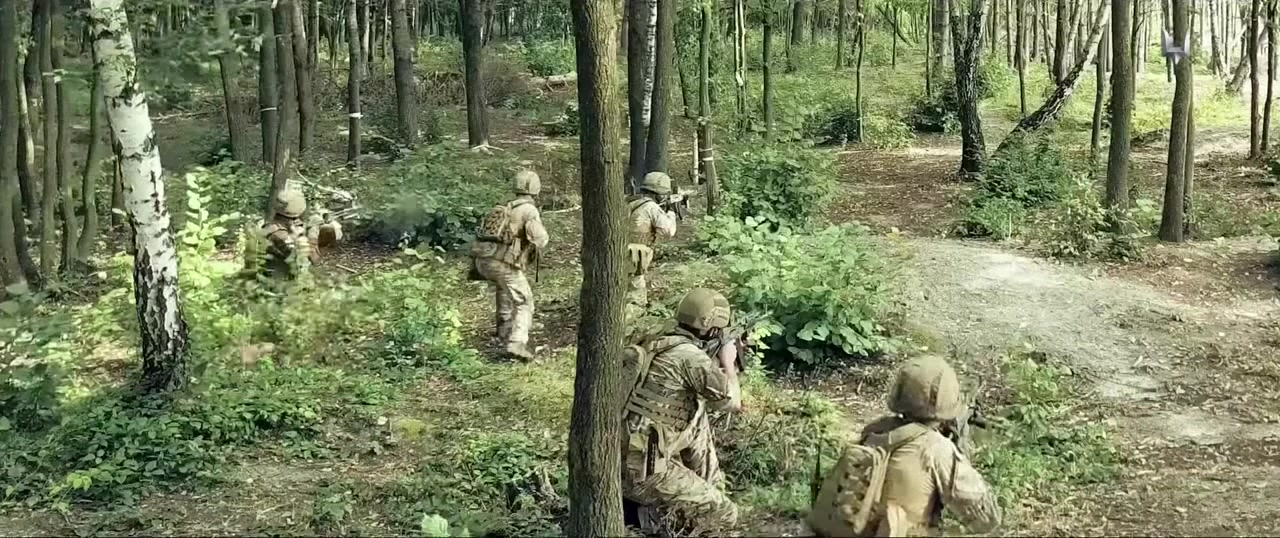 Rapid Trident-2018. Ukrainian SOF Contribution UA/EN - Coub