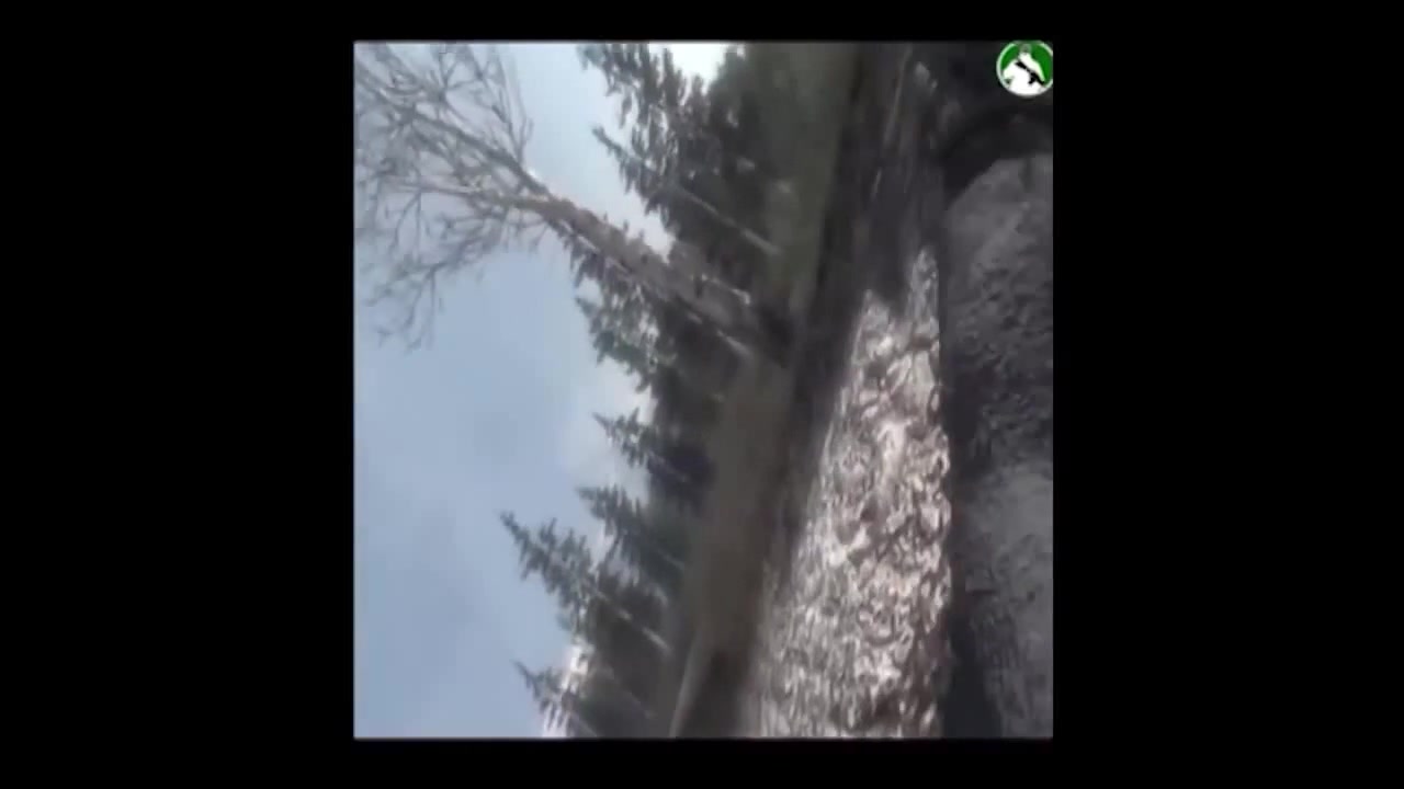 Unintentional Dabs Comp - Accidental Dab Dank Meme Compilation Funny - Coub