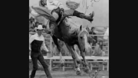 Them bareback horses - Coub