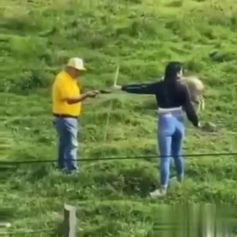 😂 no no noo - Coub