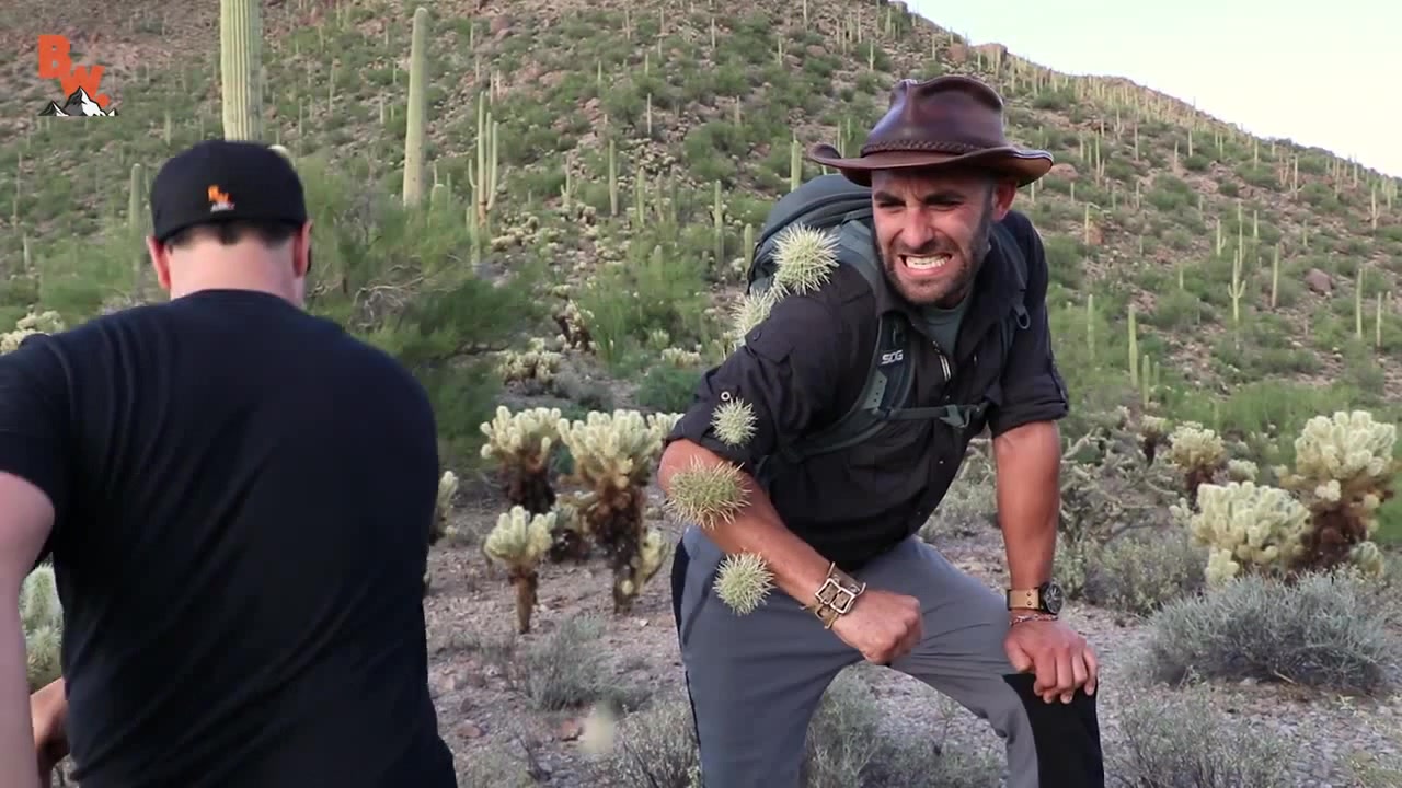 EXTREME Cactus Attack! - Coub