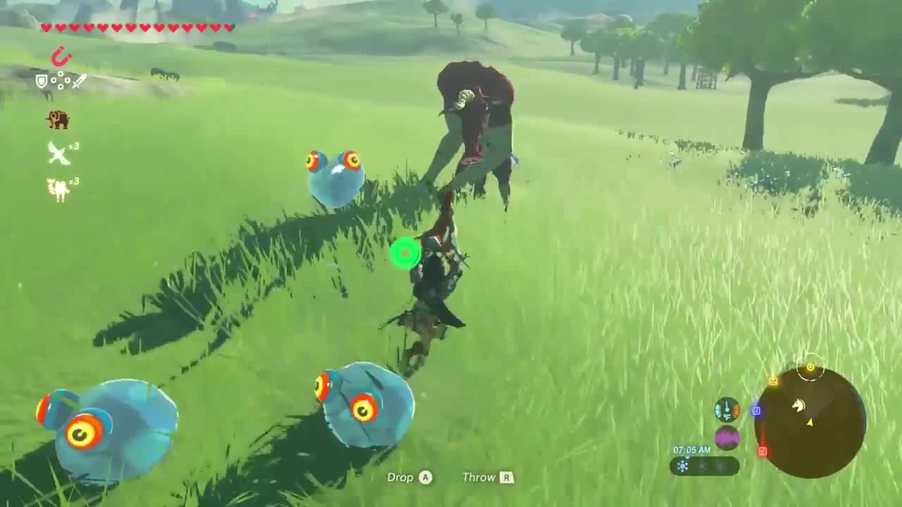 Legend of Zelda : Donkey Breath - Coub