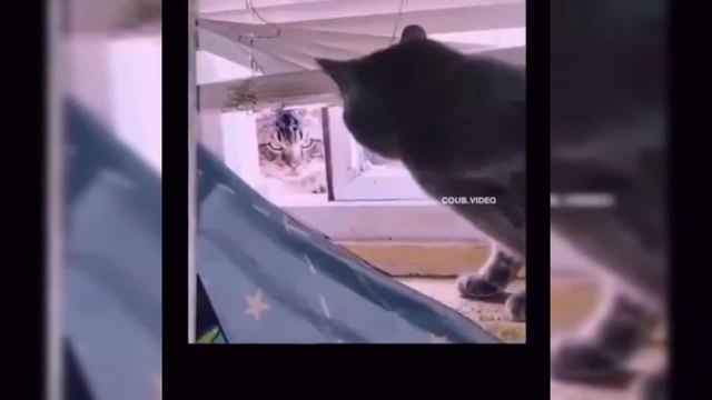 Лихие 90-е ...The dashing 90s ... - Coub