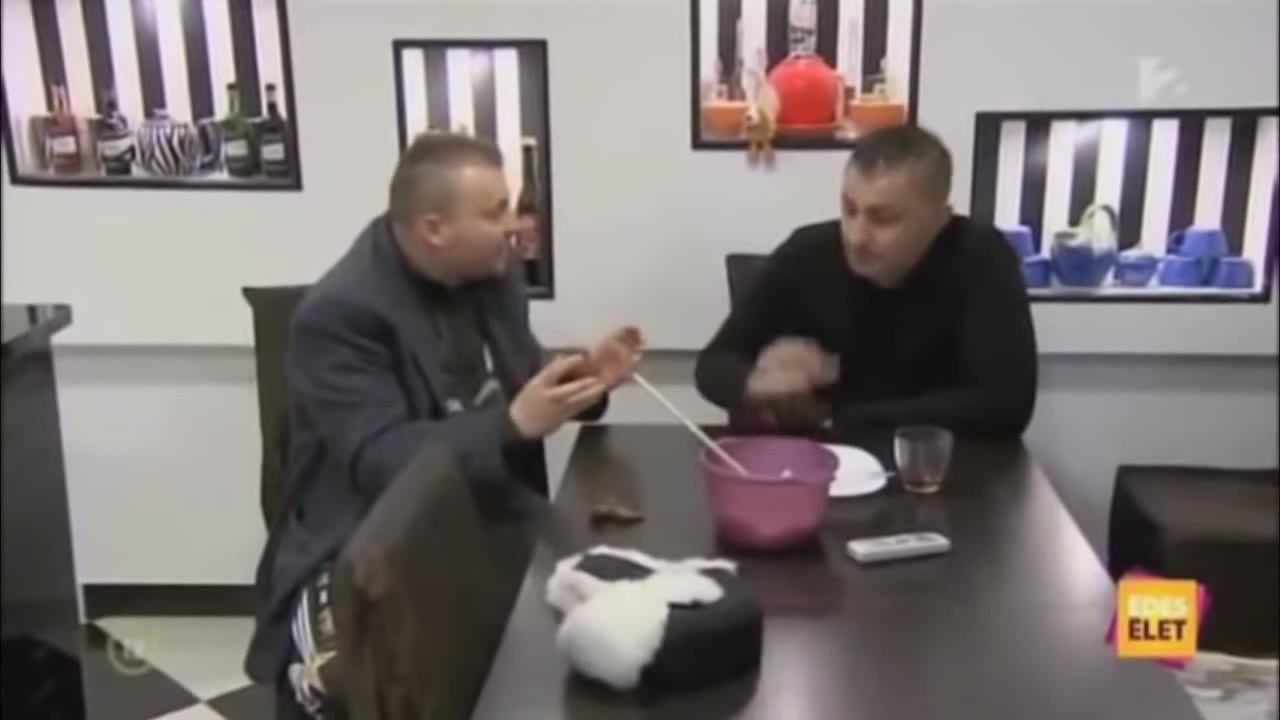 Győzike és Zsolti és a madarak - Coub