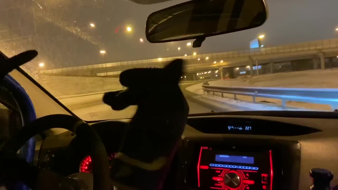 𝖘𝖙𝖗𝖊𝖊𝖙 𝖈𝖚𝖑𝖙 - Coub