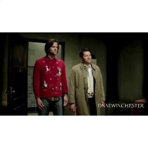 Why are these middle aged men so weird and random? AND WHY DO I LOVE WITH WITH EVERY OUNCE OF MY ...