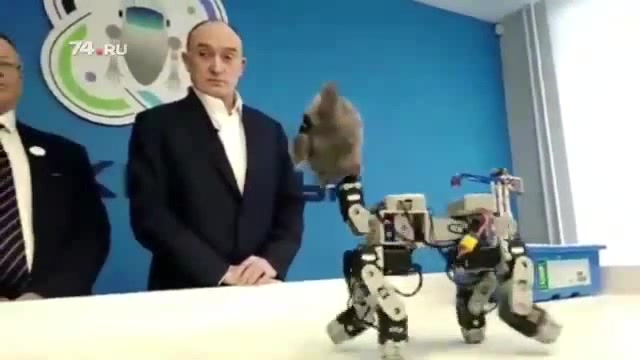RoboCat - Coub