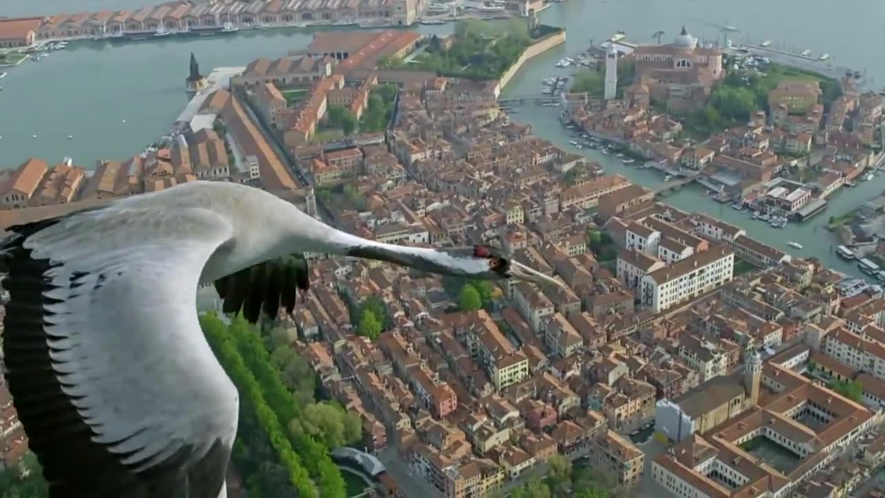 📺Sweet dreams - Coub