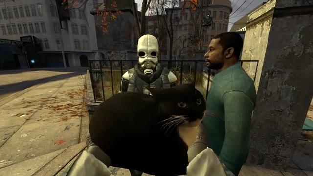 Half-Cat, Half-Hat, Half-Life - Coub