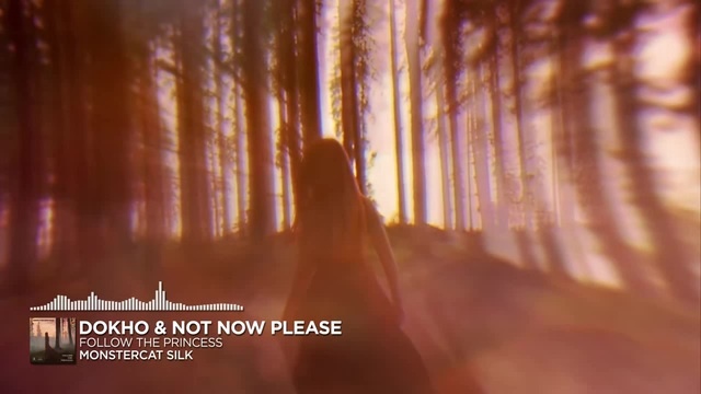 Dokho & Not Now Please - Follow The Princess - Coub