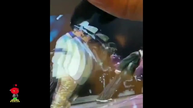 Totally Random Videos #41 - Coub