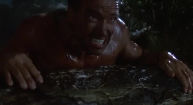 meeting with a predator - Coub