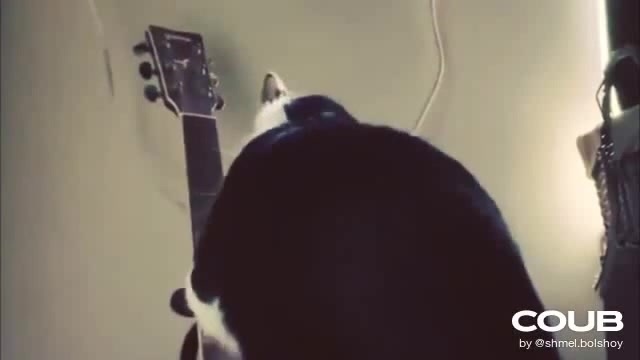 Pink Floyd - Another Brick in the Wall - Coub