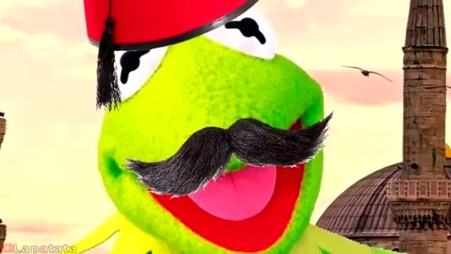 Kermit the Frog In Turkey - Coub