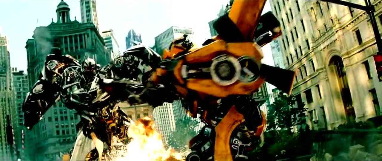 Bumblebee fights - Coub