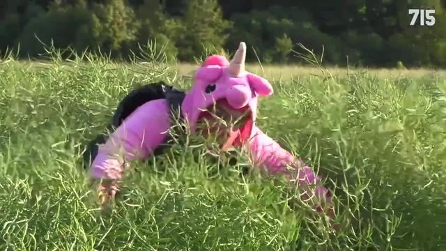 СвиноРак_715 - Coub