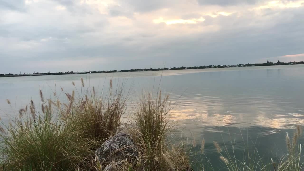 Not Yet Summer, But Close Enough - Coub