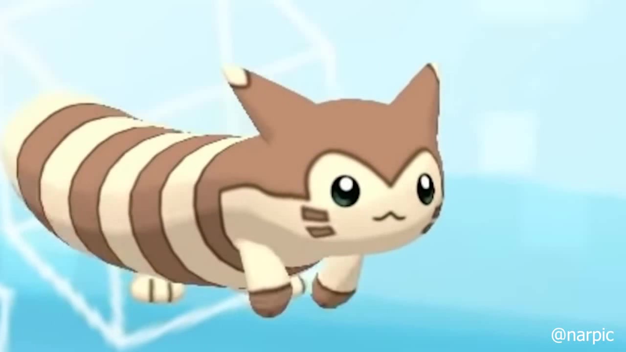 furret walk - Coub