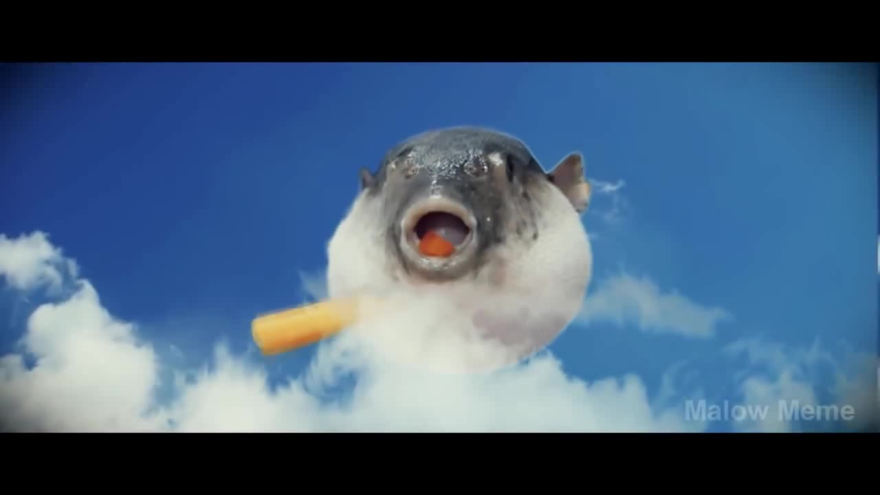 Rick Astley - Never Gonna Give You Up - Puffer fish - Coub