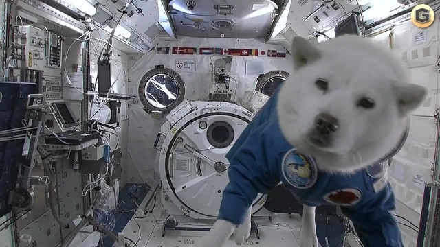 Space sadness - Coub