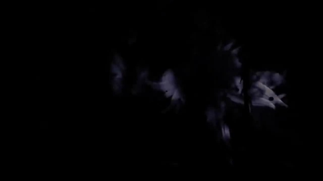 Hollow Knight - Embrace the Void - Coub