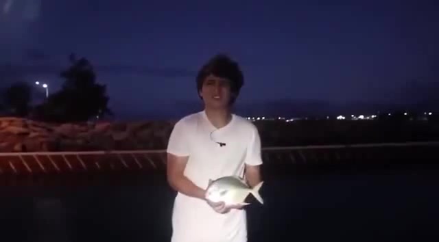 Michael Reeves Throws a Fish meme - Coub