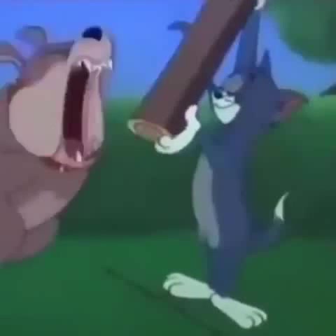 Tom hits dog with bat - Coub