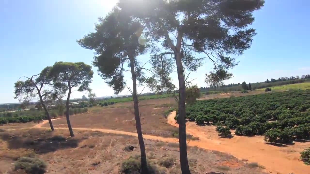 Progression / FPV Freestyle - Coub