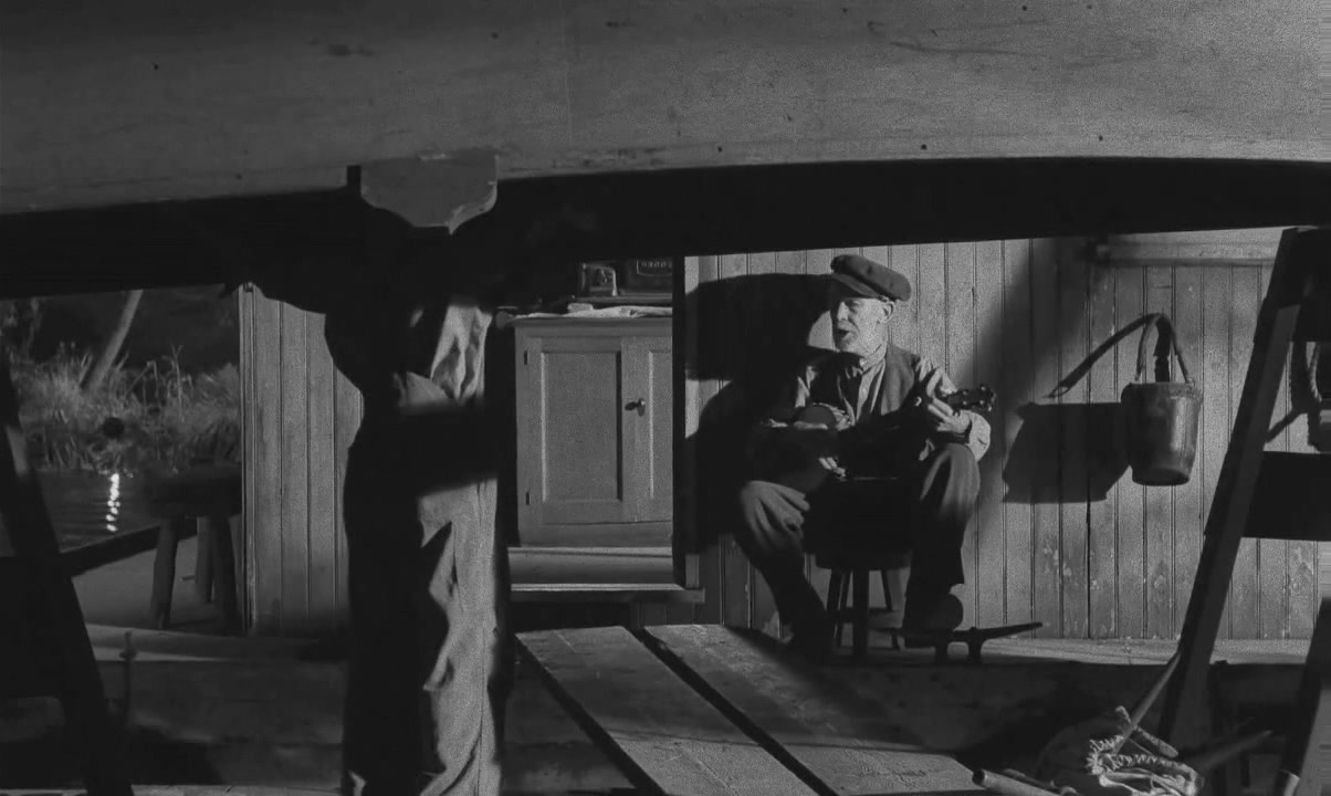 Diddly Doo Song - Coub