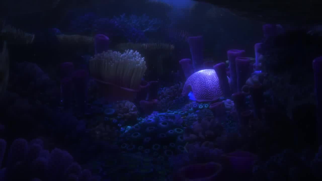 Finding Dory - Coub