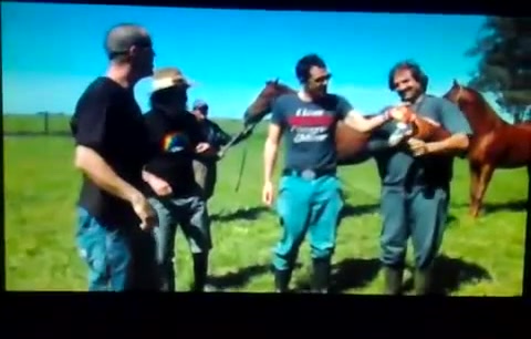 Jackass 2 - How to milk a horse (Como ordeñar un Caballo) - Coub