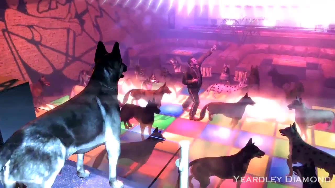 Who let the dogs out? - Coub