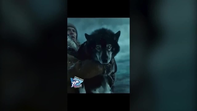 Vesenniy COUB #3 | anime amv / gif / mycoubs / аниме / mega coub - Coub