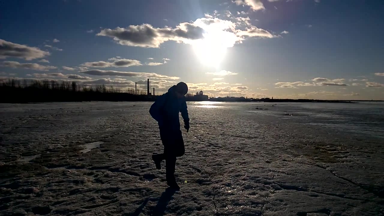 dancer on ice - Coub