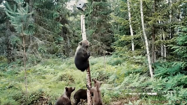 To the new heights and challenges.. - Coub