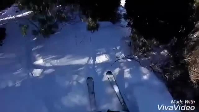 any powder lovers over here? - Coub