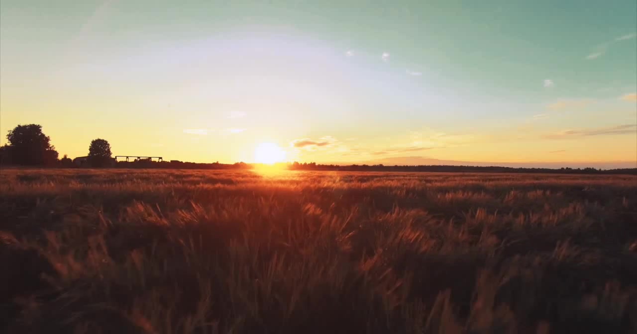 From Past to Present - Coub