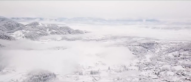 White beauty (song: Alluniar - Sadness) - Coub