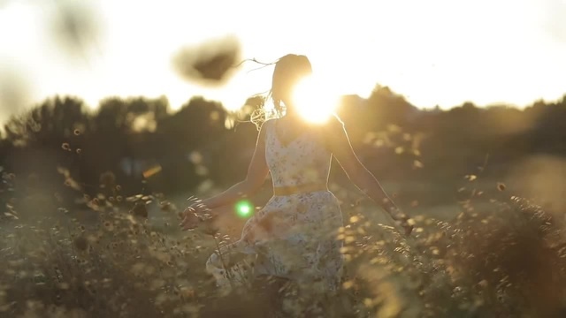 The Sun Within - Coub